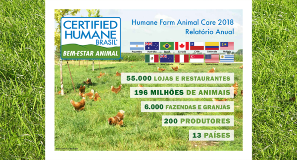 Programa Certified Humane beneficia 1 bilhão de animais até 2018 ...