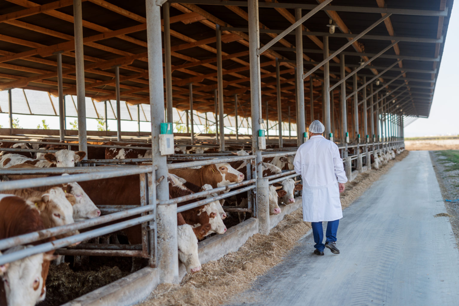 Biosseguridade na produção animal: saiba quais procedimentos seguir ...